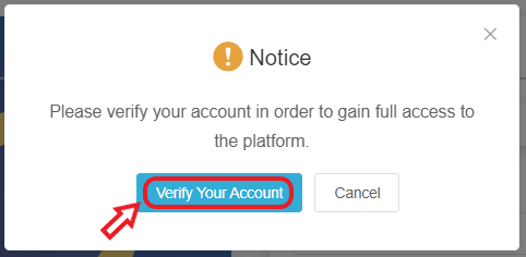 How Do I Verify My Account? – VirgoCX Support